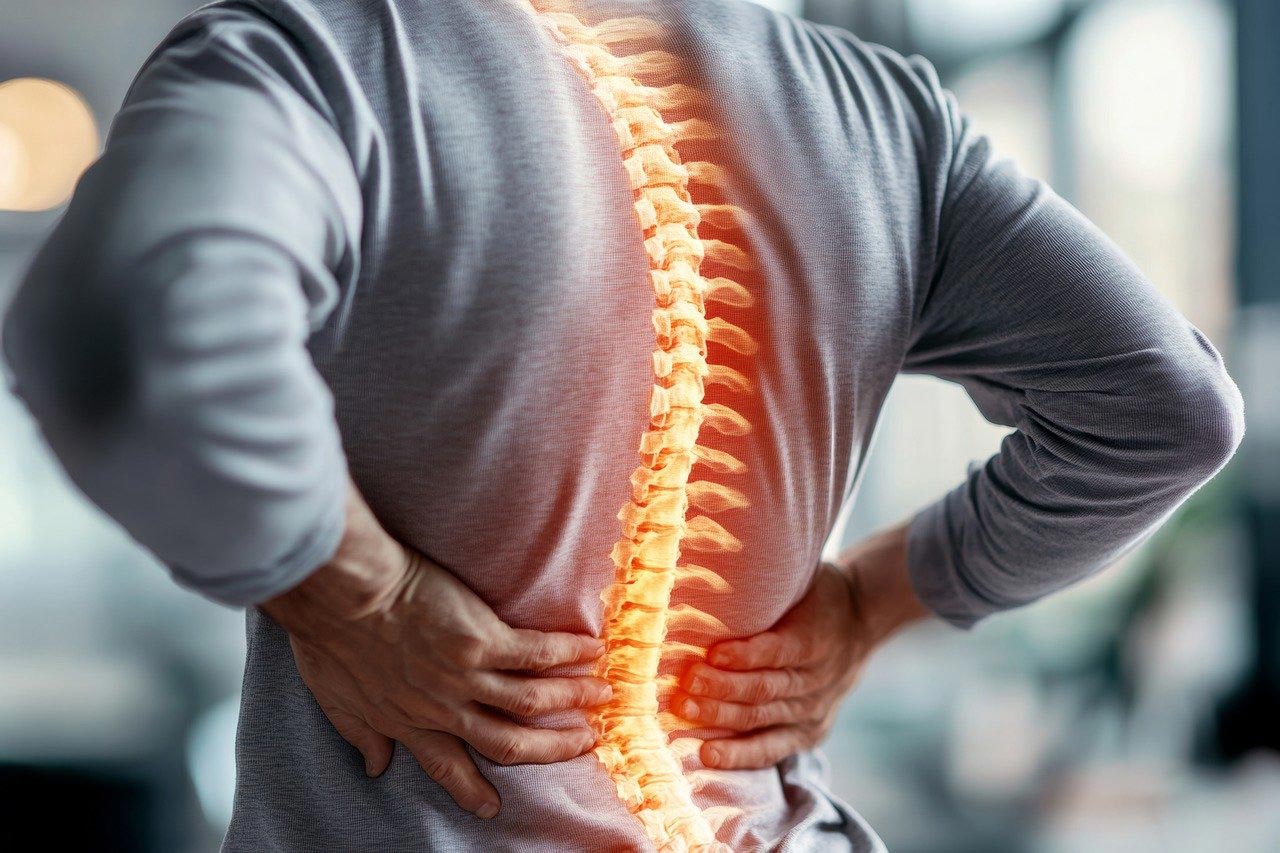 Anatomy of the Back: Understanding Your Pain - FYZICAL Chicago
